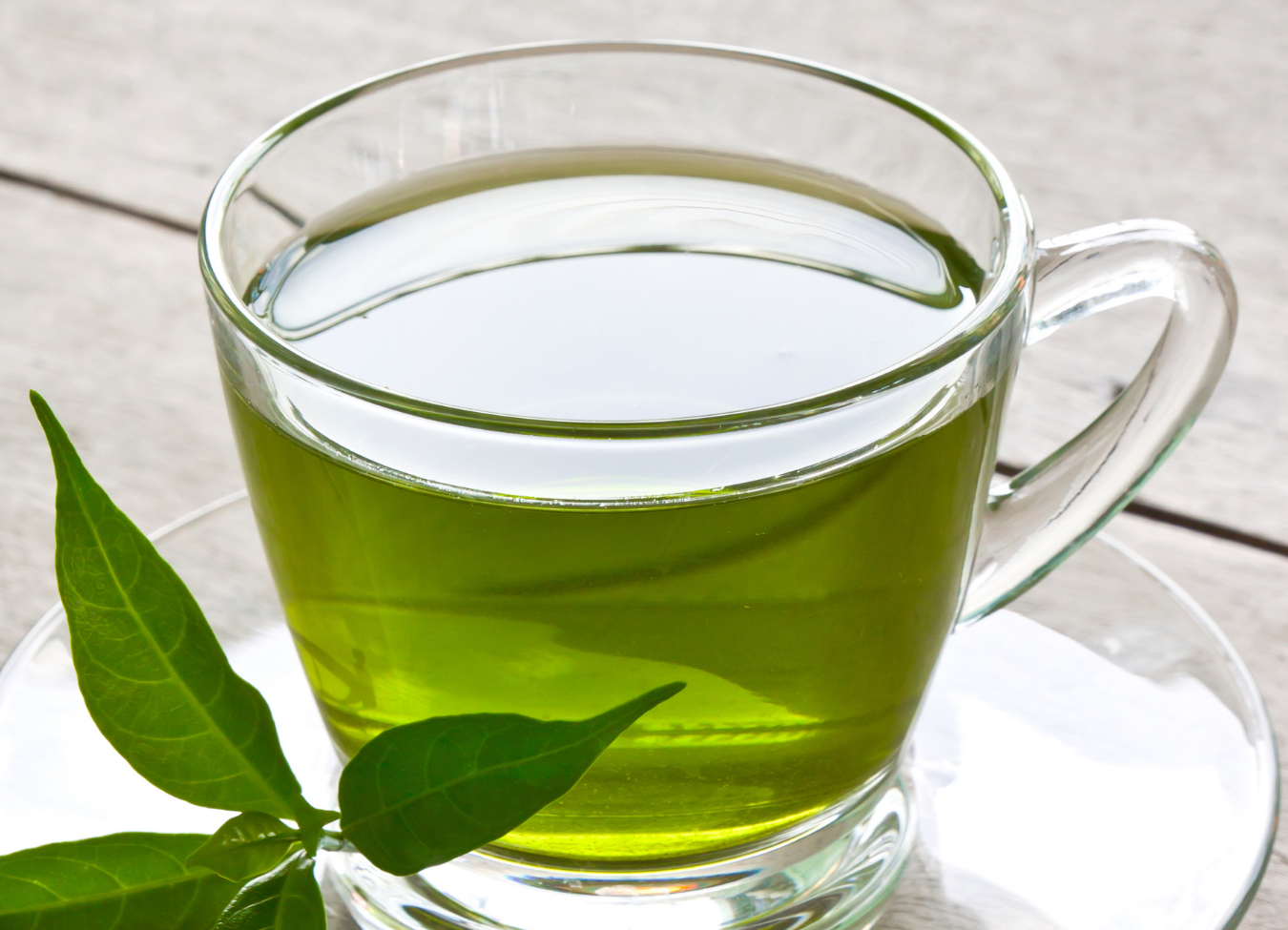 Top 10 Immune Boosting Foods | Showit Blog Top 10 Immune Boosting Foods | Showit Blog
