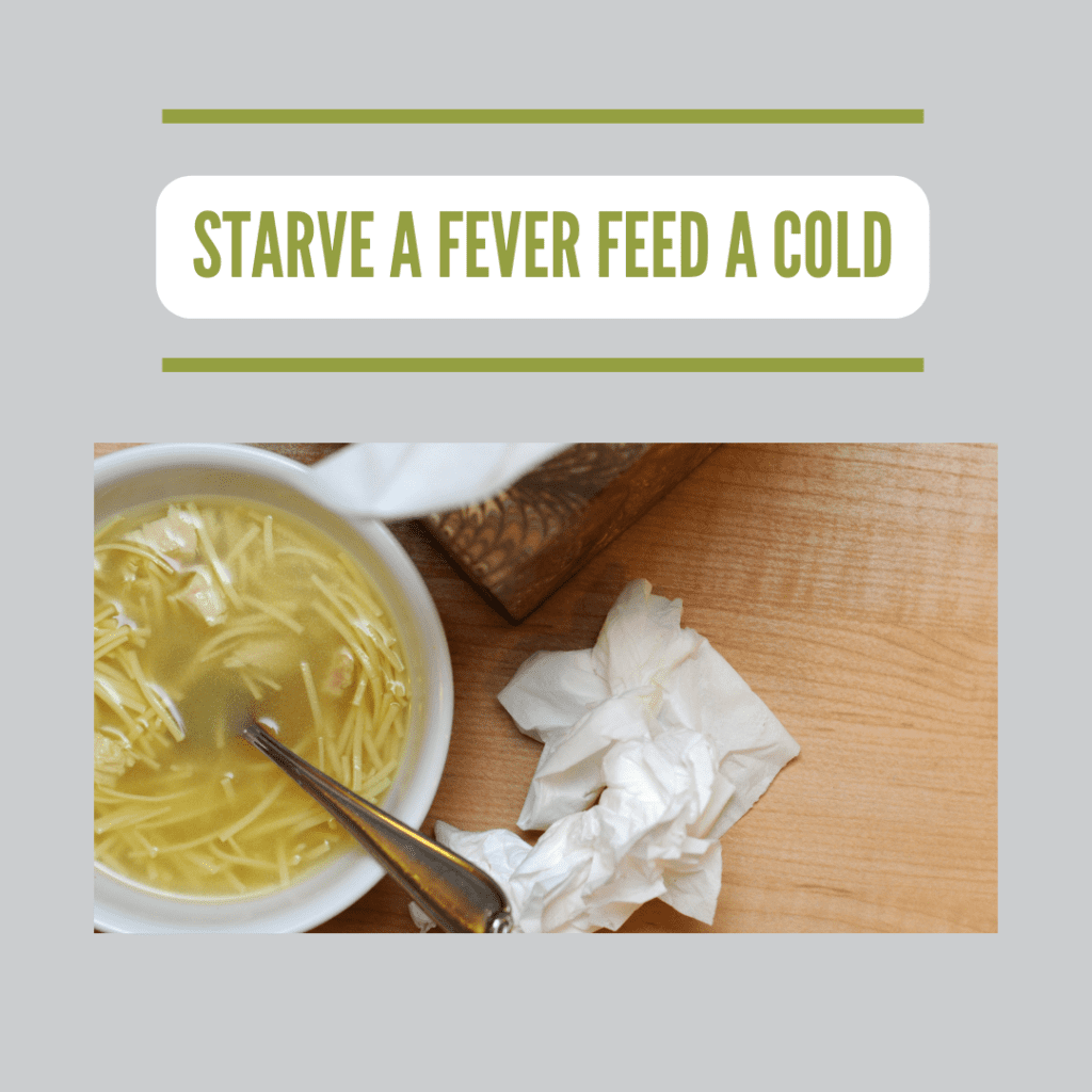 Starve a cold feed a fever? Should I force my self to eat even when I'm ...